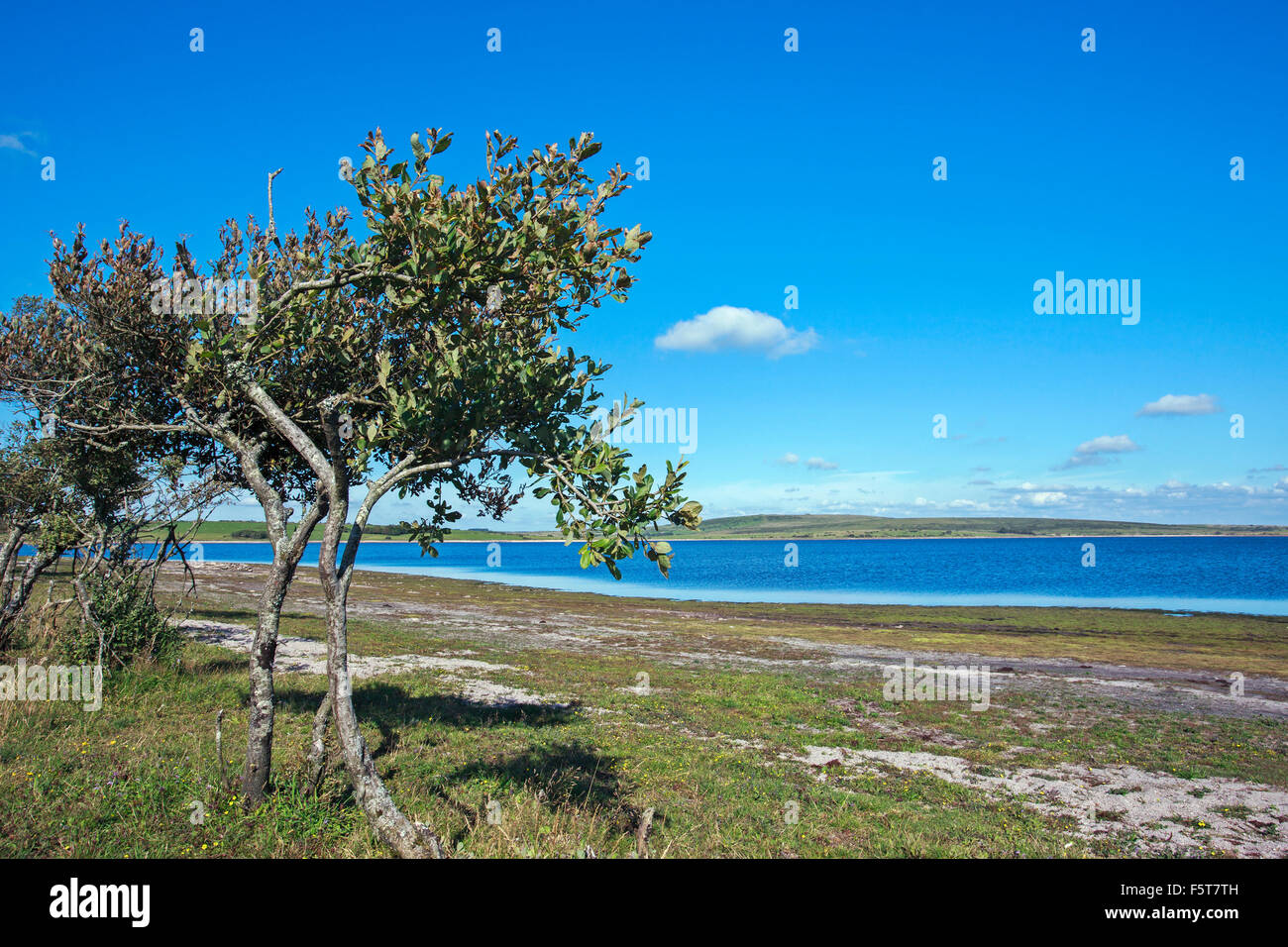 Colliford reservoir lake Bodmin Moor Cornwall still lake blue sky Stock ...