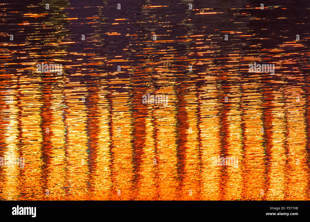 Predominantly orange hi-res stock photography and images - Alamy