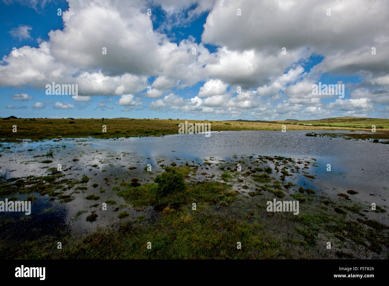moorland puddles form shallow pool white clouds drifting across a soft ...