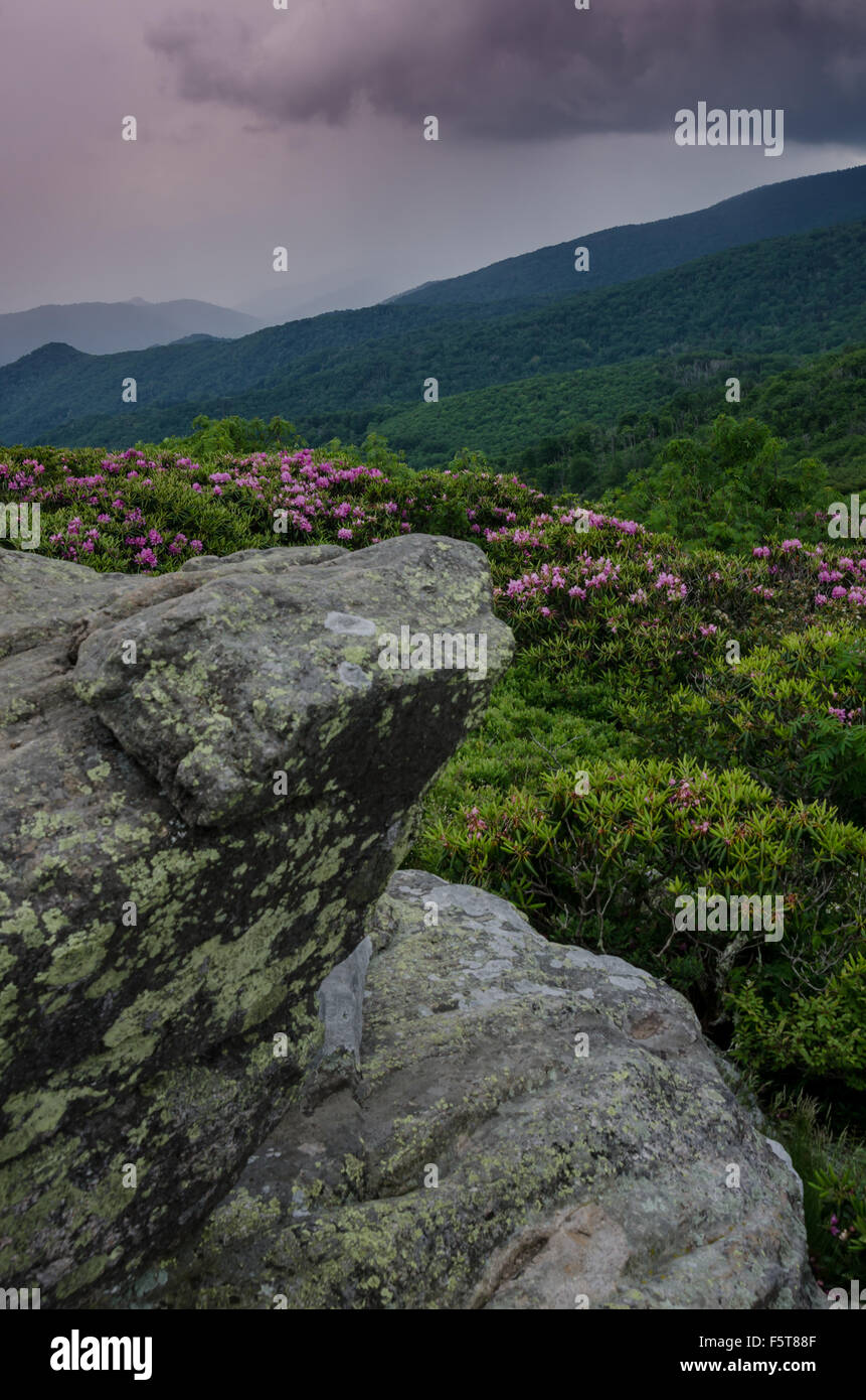 Roan mountain hi-res stock photography and images - Alamy
