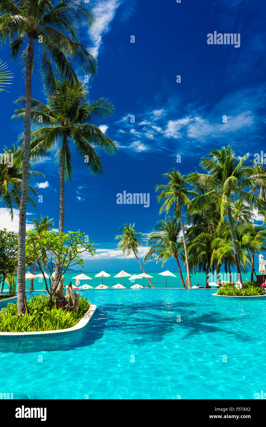 Infinity pool on beach umbrellas hi-res stock photography and images ...