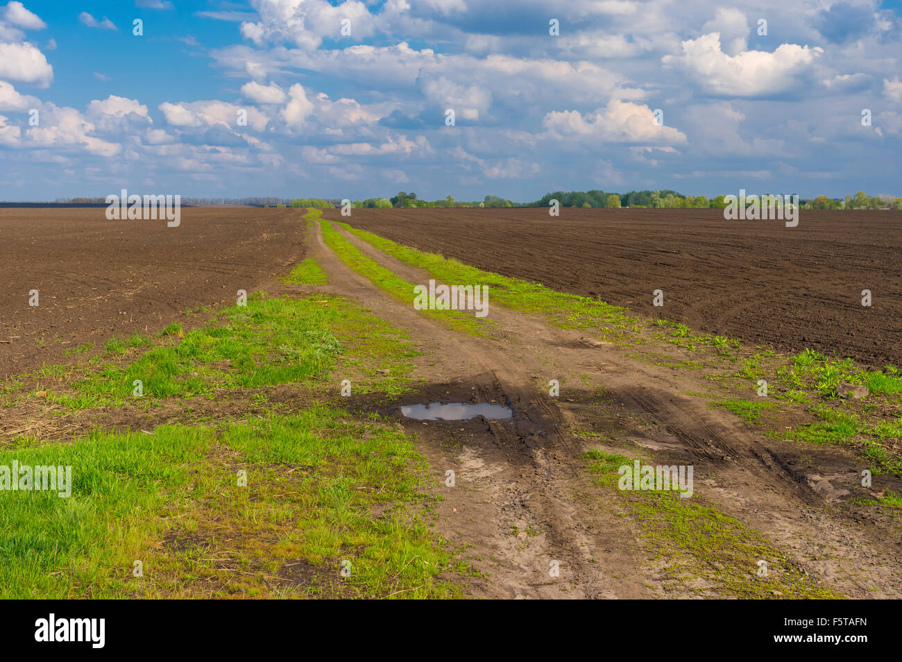 Classic agricultural landscape at spring season, central Ukraine Stock ...