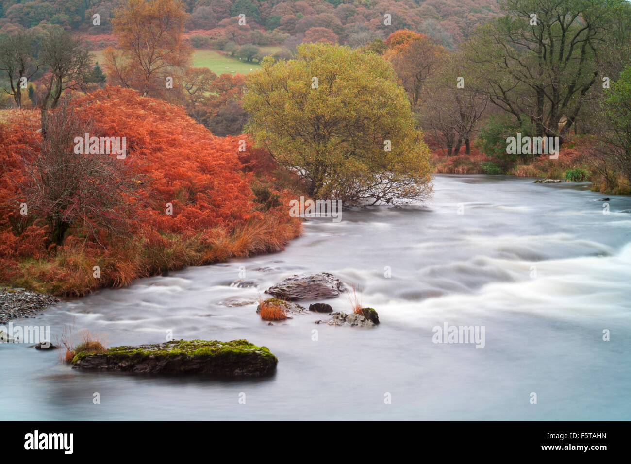 Valley of river towy hi-res stock photography and images - Alamy