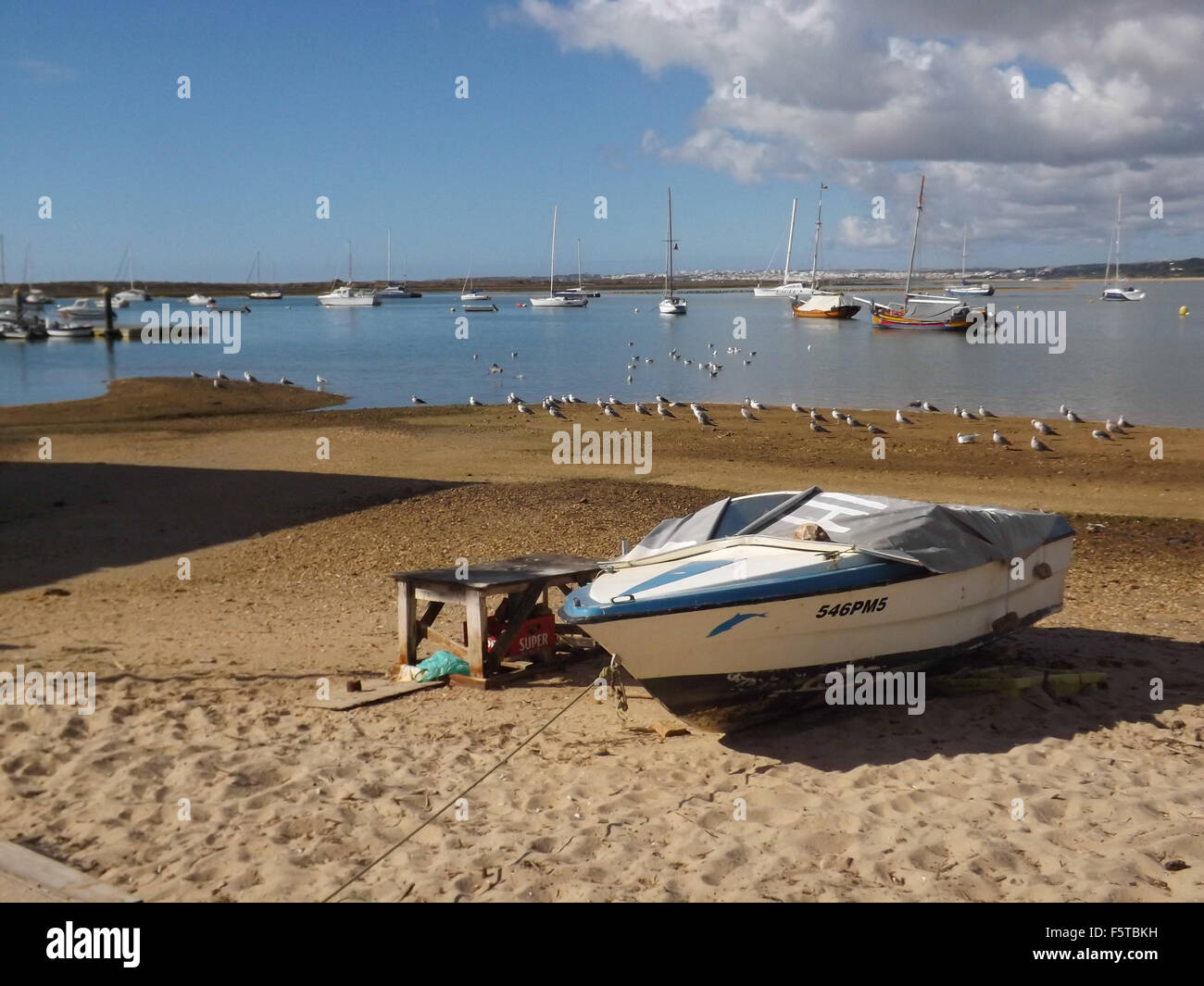 Driving boat outboard motor hi-res stock photography and images - Alamy
