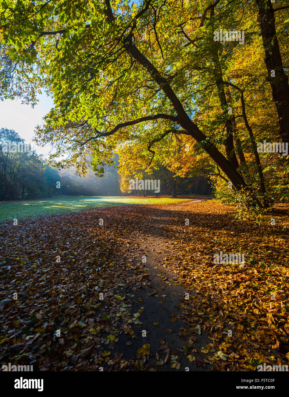 Belgium, Antwerp, middelheim park in autumn - fall Stock Photo - Alamy