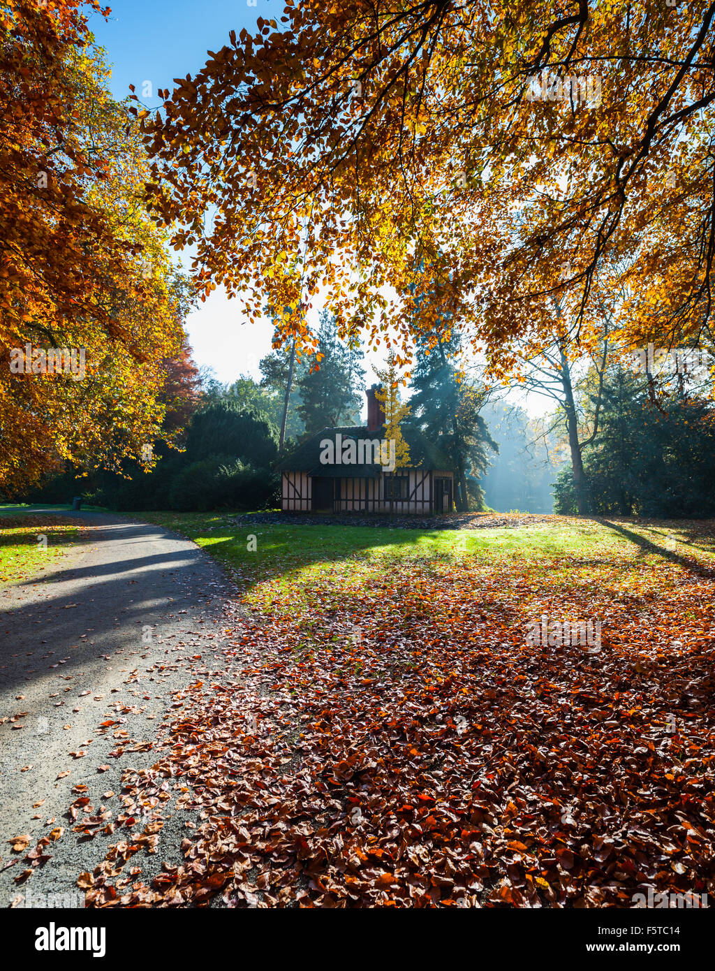 Belgium, Antwerp, middelheim park in autumn - fall Stock Photo - Alamy