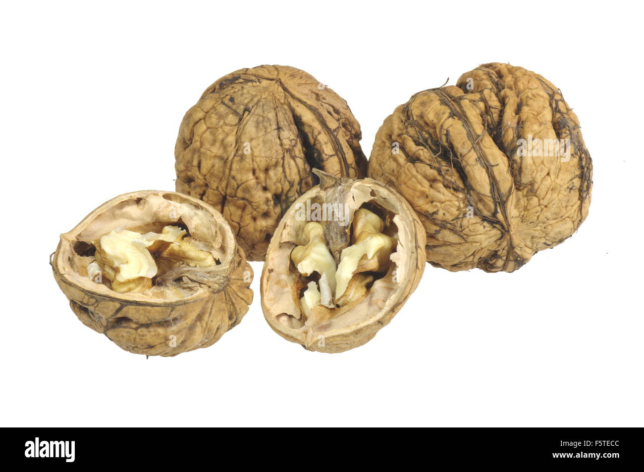 Walnut with open shell hi-res stock photography and images - Alamy