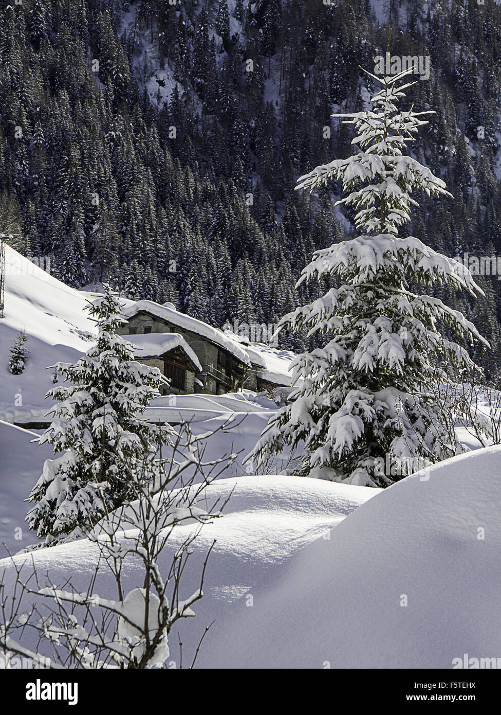 Snow_landscape hi-res stock photography and images - Alamy