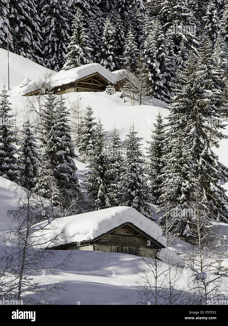 winter landscape with snow in Italian Alps Stock Photo - Alamy