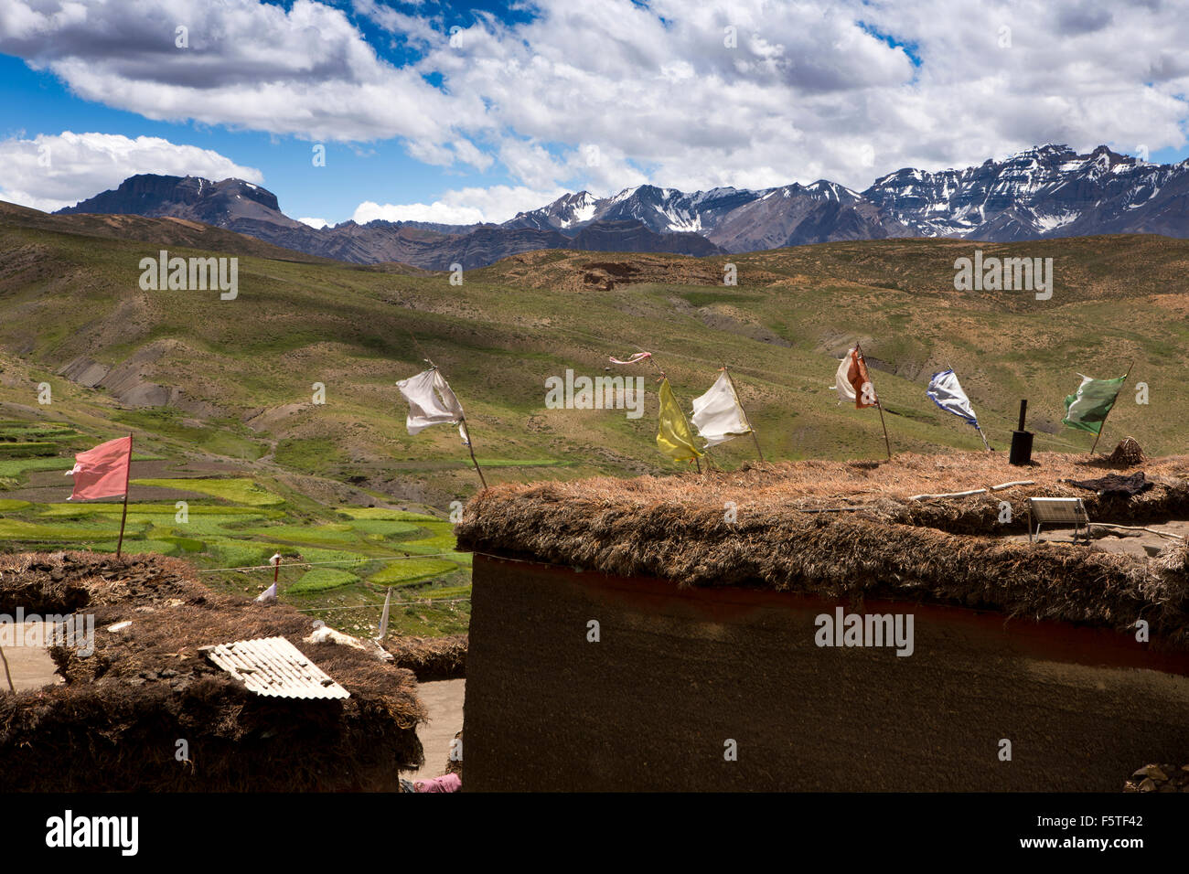 India, Himachal Pradesh, Spiti, Hikkim, crop on flat roof of ...