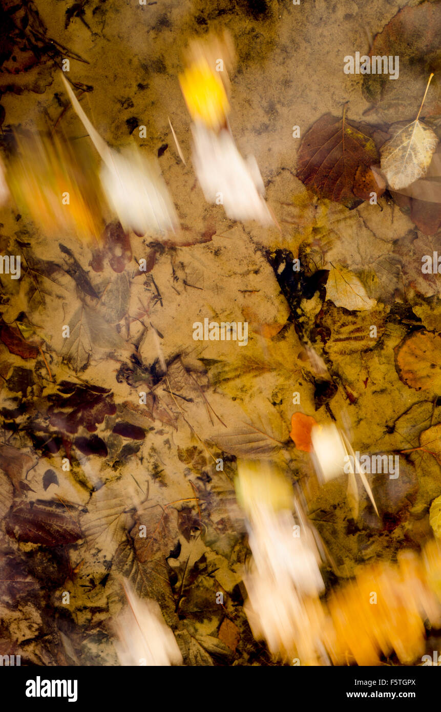 fall leaves flowing on water motion blur Stock Photo - Alamy