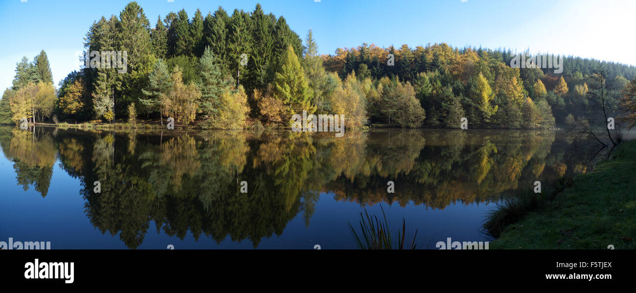 Mallards Pike Lake, Forest of Dean, Gloucestershire, England, Great ...