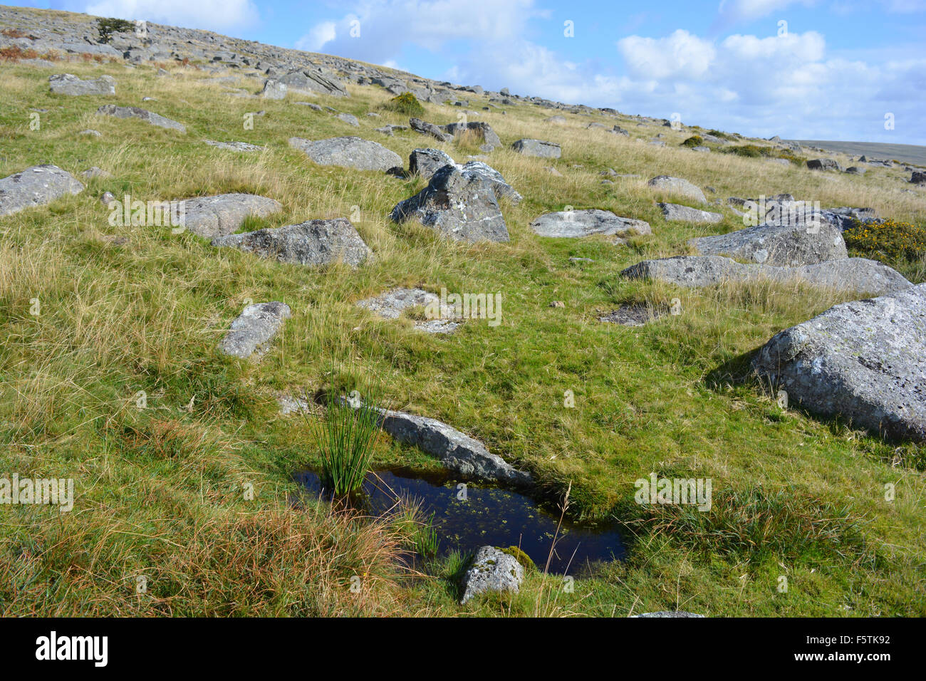 Landscape near the Staple Tors, Dartmoor National Park, Devon, England ...