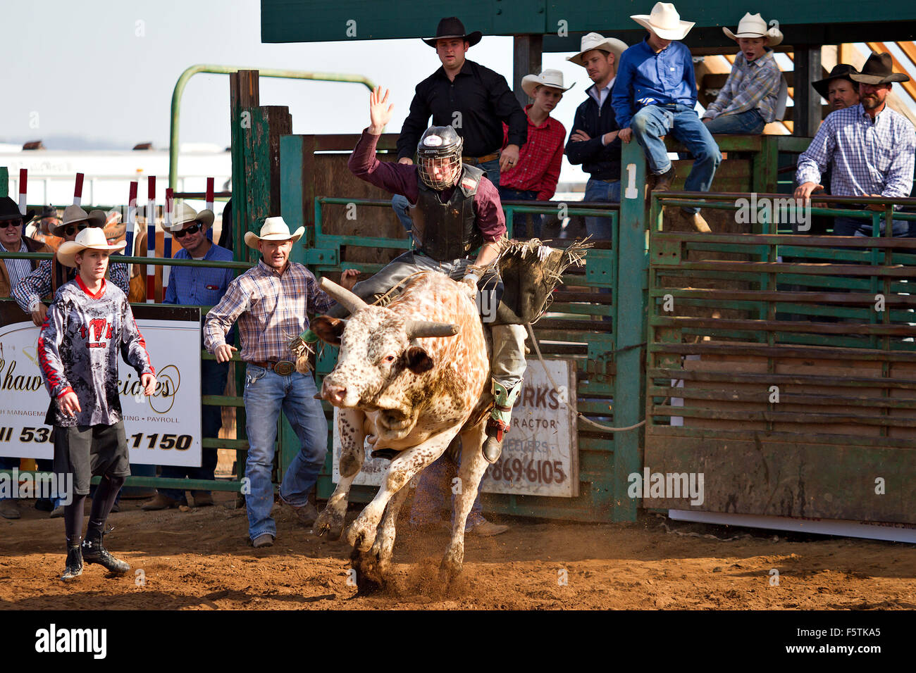 Young women compete in barrel racing at the Lincoln, California Rodeo ...
