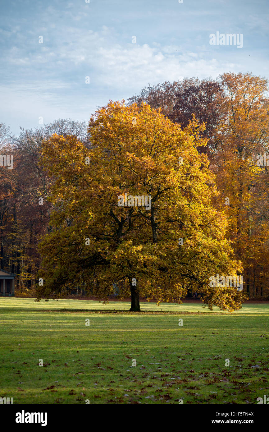Fall colors in germany hi-res stock photography and images - Alamy