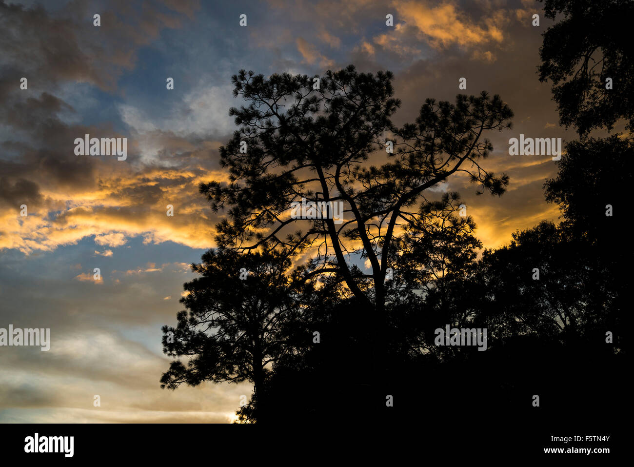 Colors of sunset hi-res stock photography and images - Alamy
