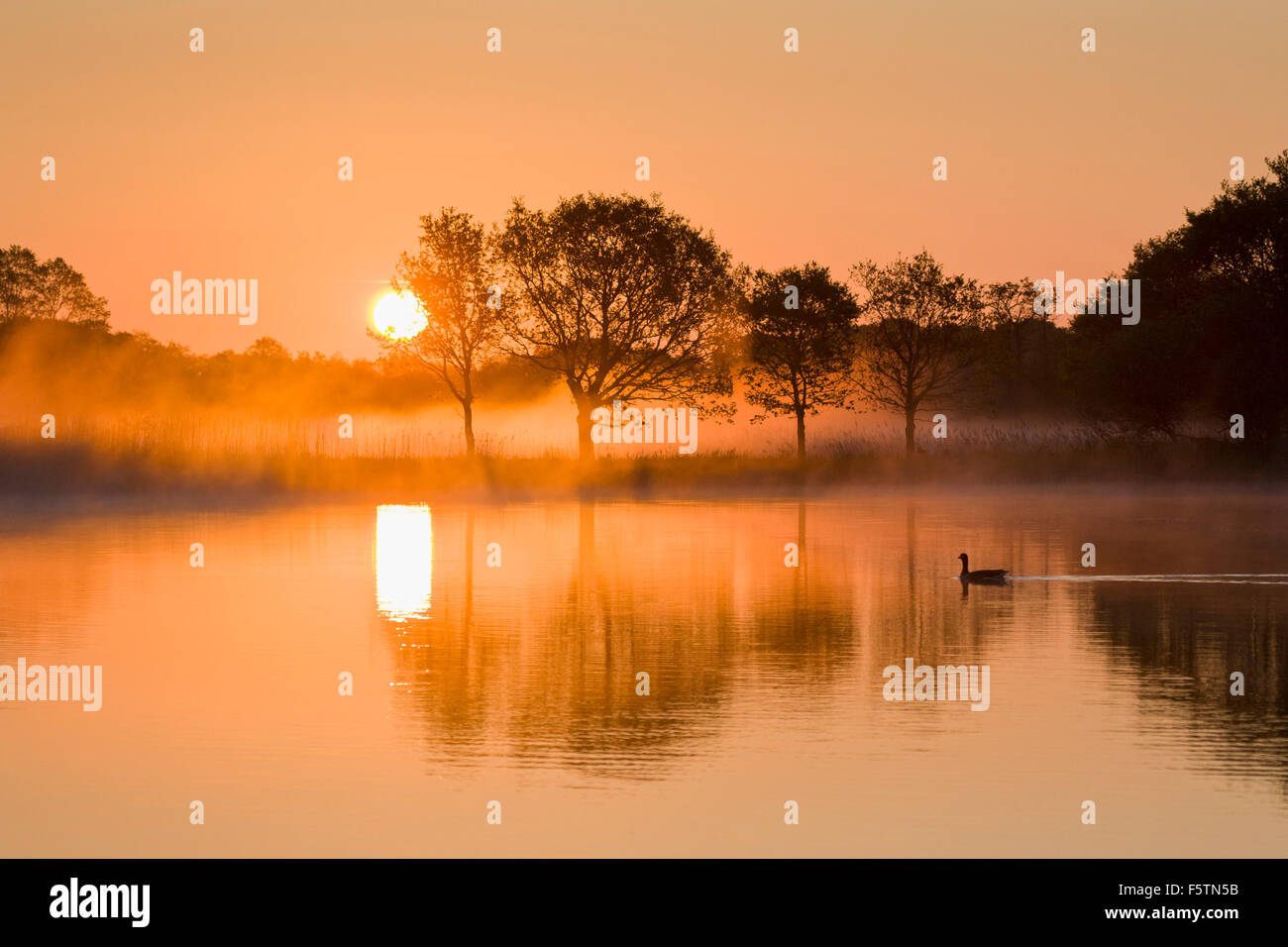 Sunrise at dawn hi-res stock photography and images - Alamy