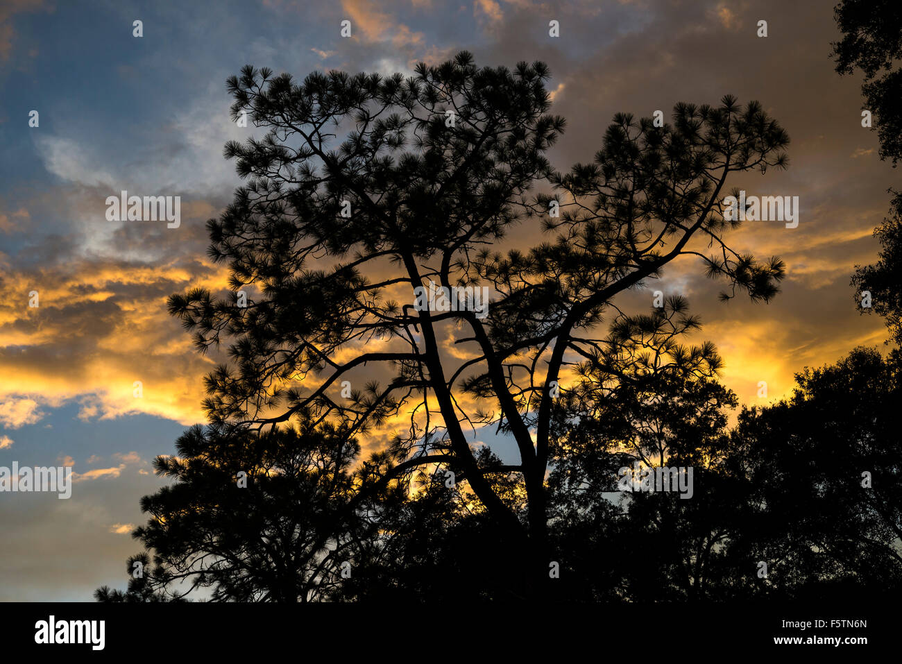 The colors of sunset hi-res stock photography and images - Alamy