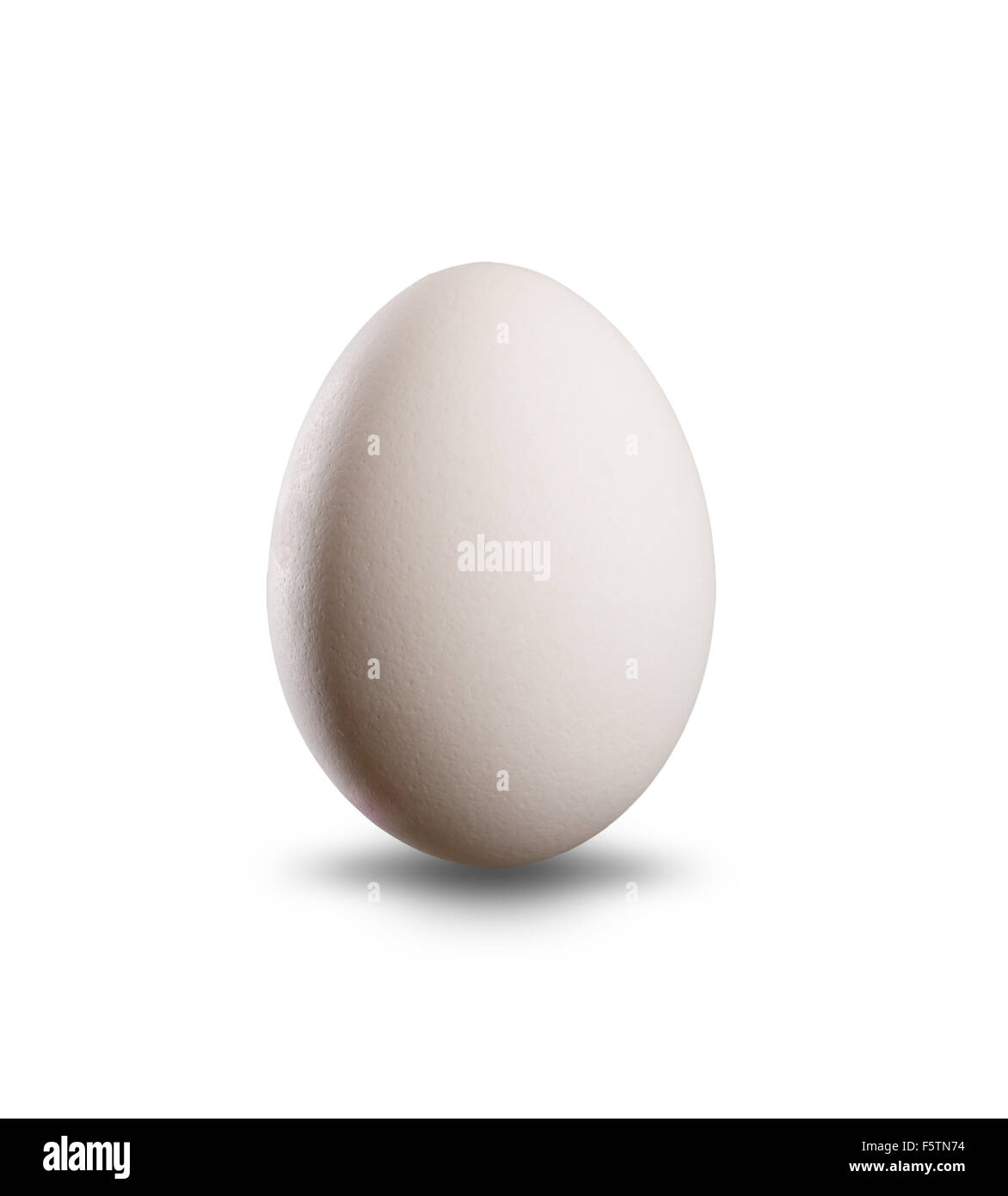 White egg isolated over white background Stock Photo - Alamy
