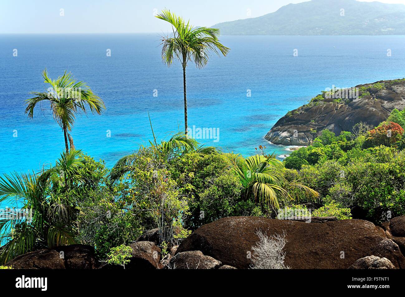 Island Mahé, Anse Major Nature Trail, Seychelles Stock Photo - Alamy