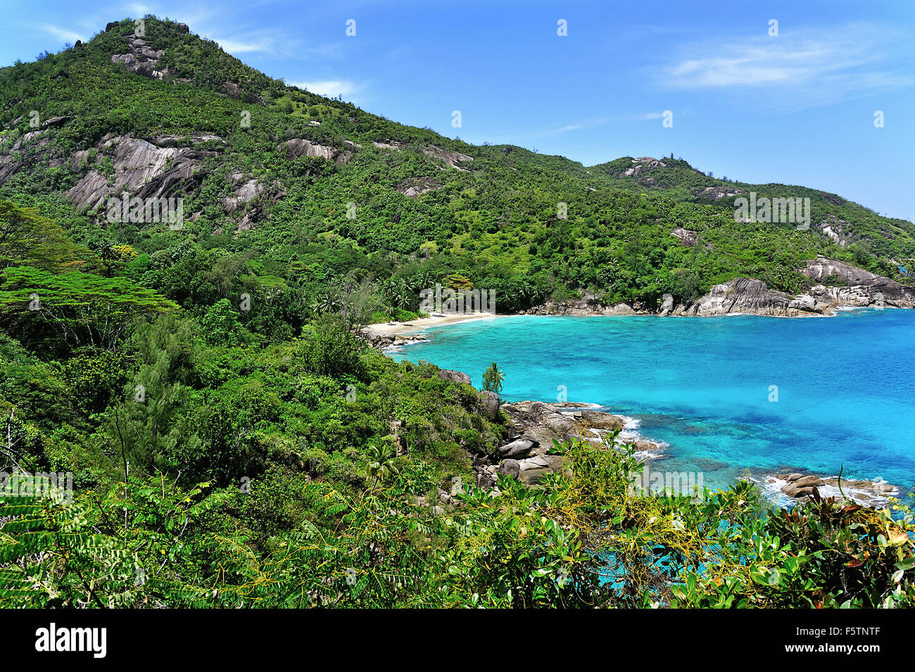 Island Mahé, Anse Major Nature Trail, Seychelles Stock Photo - Alamy