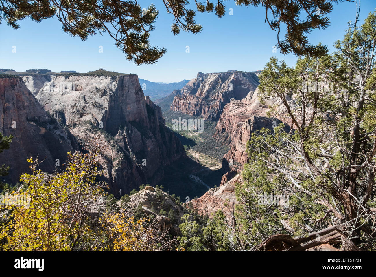Zion National Park Angels Observation Point Trail View Stock Photo - Alamy