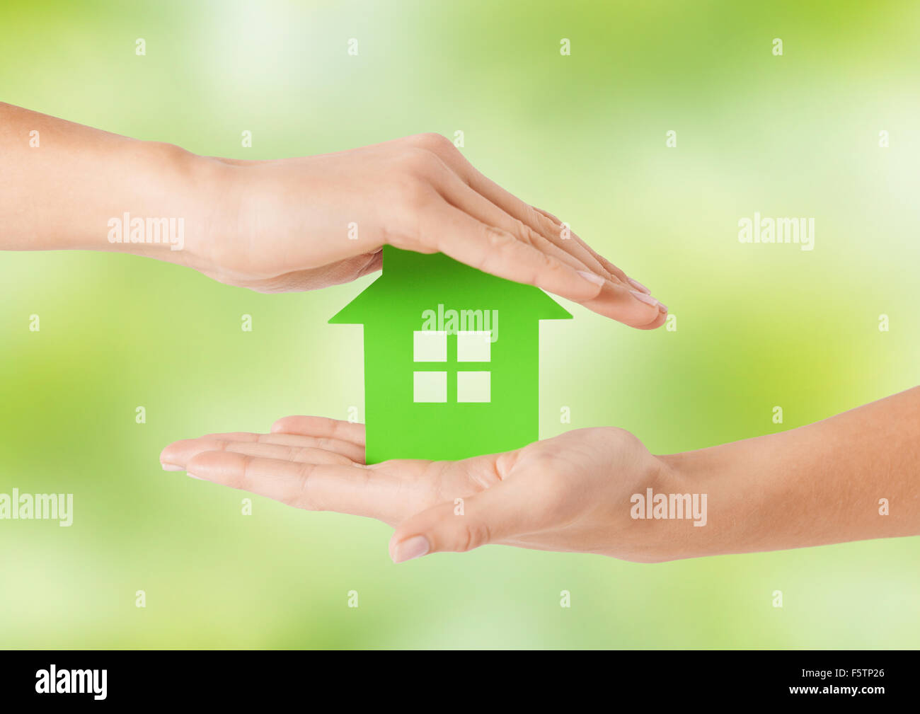 close up of woman hands holding green house Stock Photo - Alamy