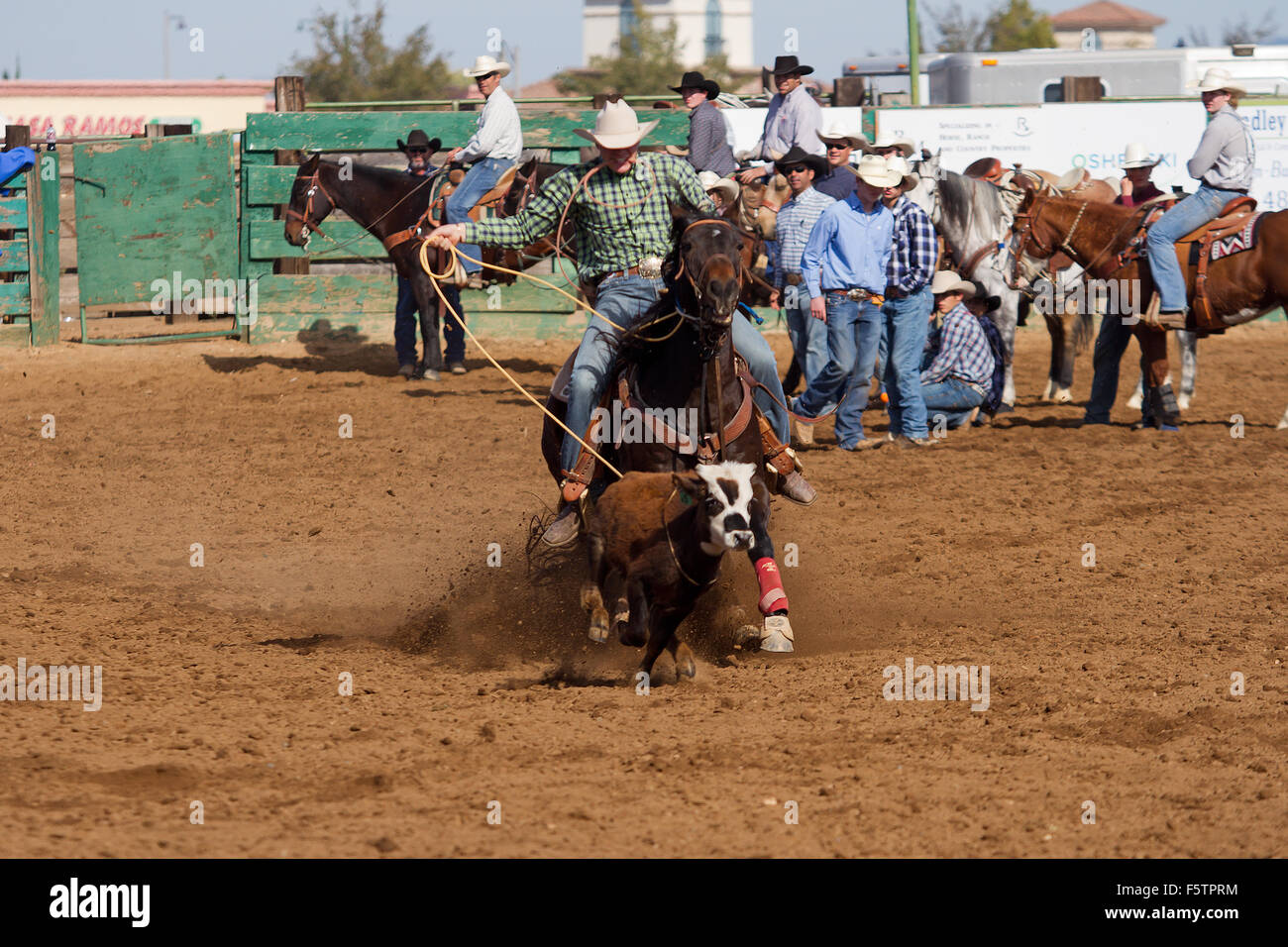 Bucking bronco ride woman hi-res stock photography and images - Alamy