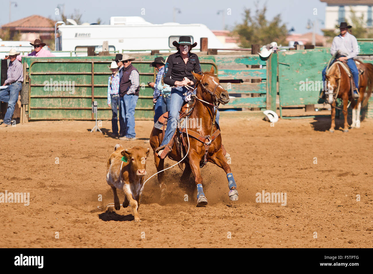 Junior steer riding hi-res stock photography and images - Alamy