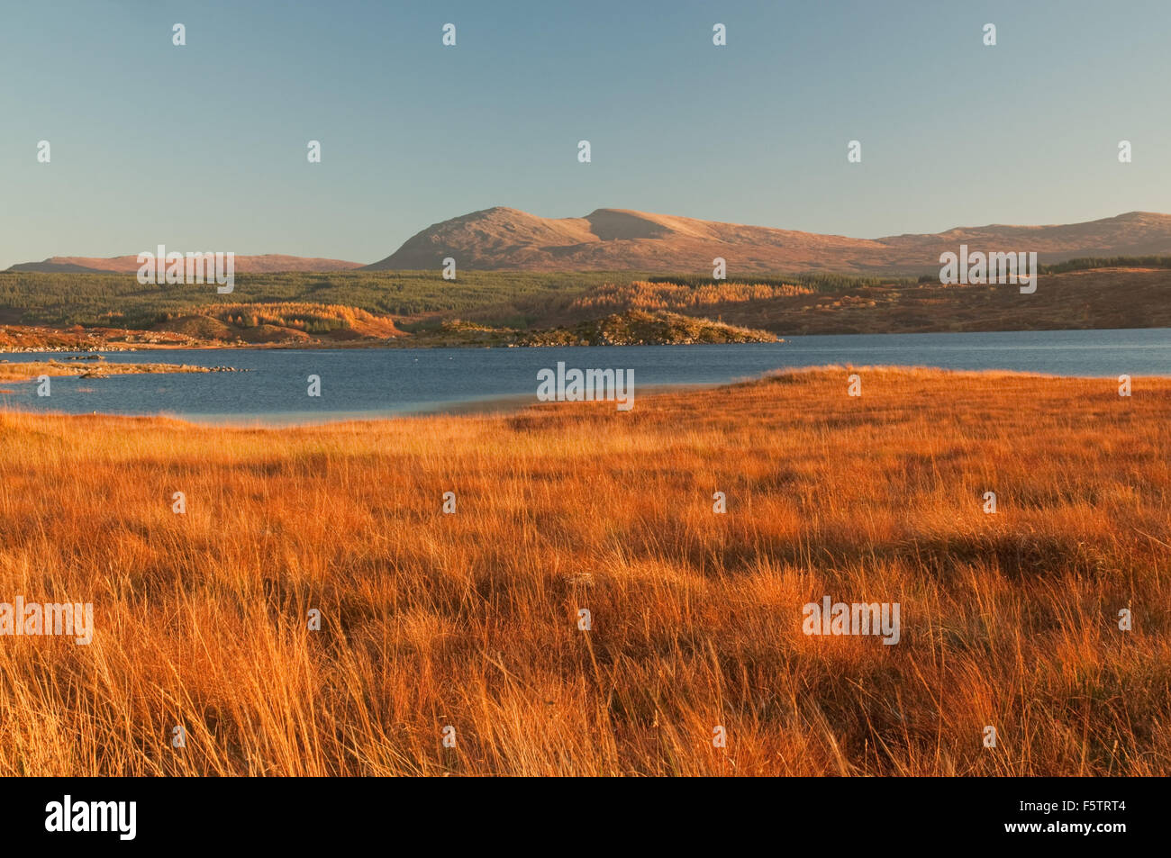 Loch buidhe hi-res stock photography and images - Alamy