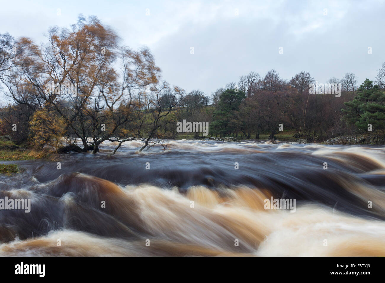 Low Force, River Tees, Bowlees, Teesdale, County Durham UK. 9th ...