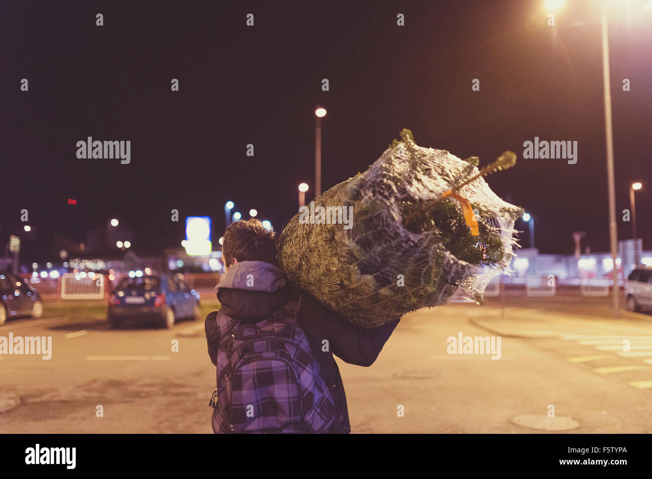 Man holding fir tree hi-res stock photography and images - Alamy