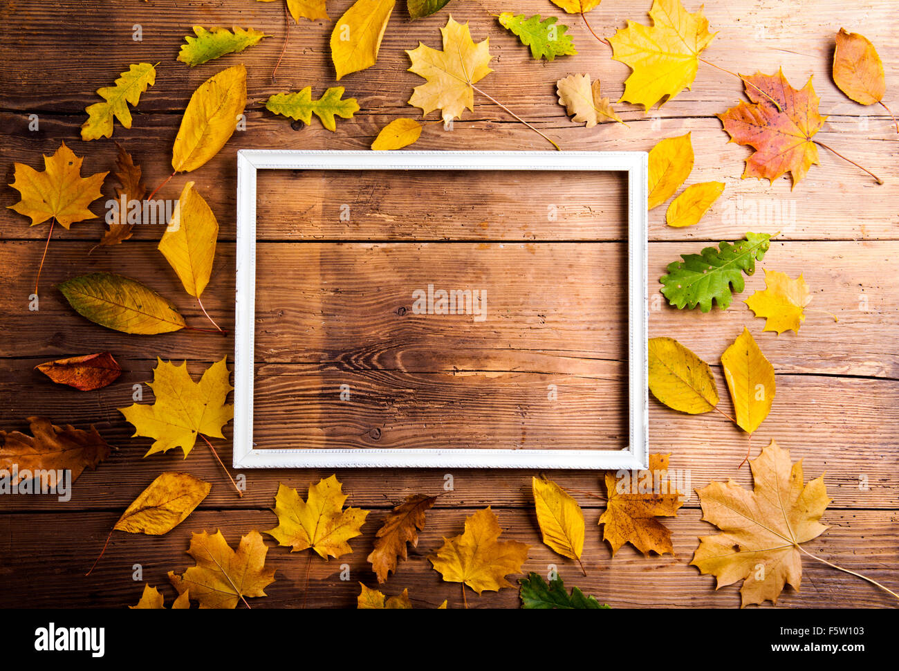 Autumn leaf composition Stock Photo - Alamy