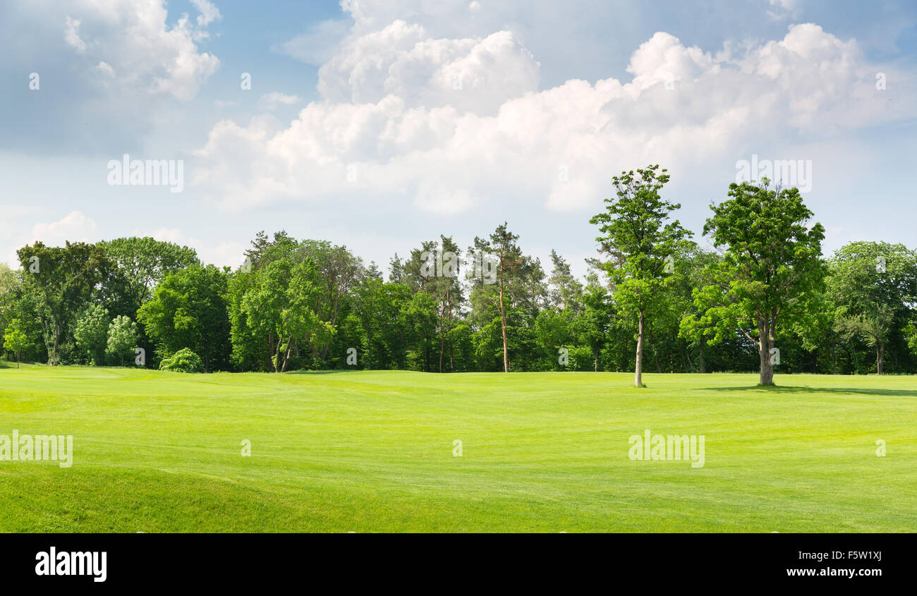 Panoramic view of beautiful summer park Stock Photo - Alamy