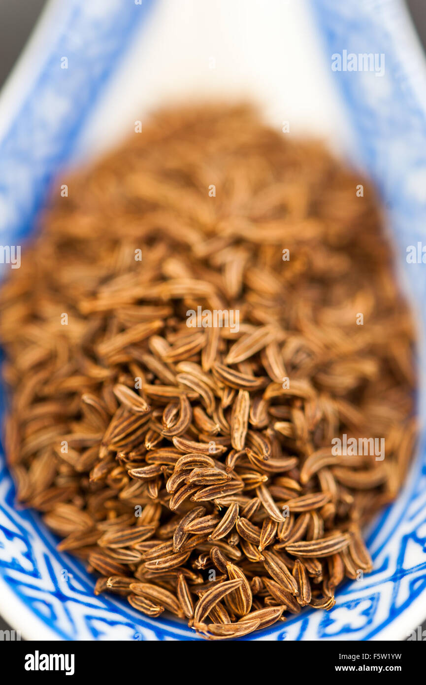 Cumin seeds harvest hi-res stock photography and images - Alamy