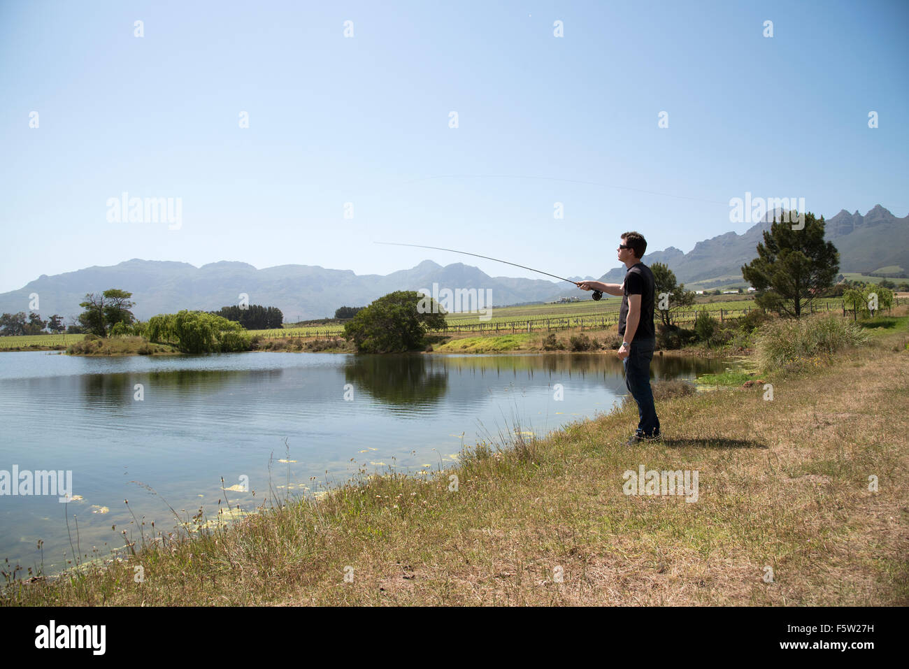Man fly fishing in the Western Cape region of South Africa Stock Photo ...