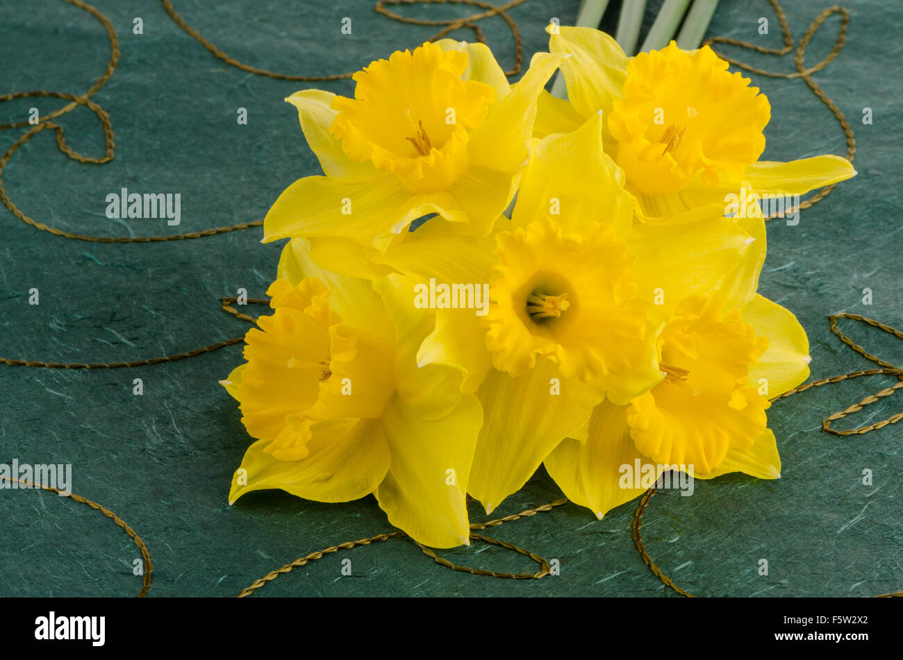 Yellow jonquil flowers on green background Stock Photo - Alamy