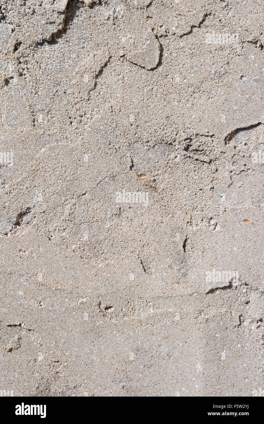 Closeup detail of white stucco wall background Stock Photo - Alamy