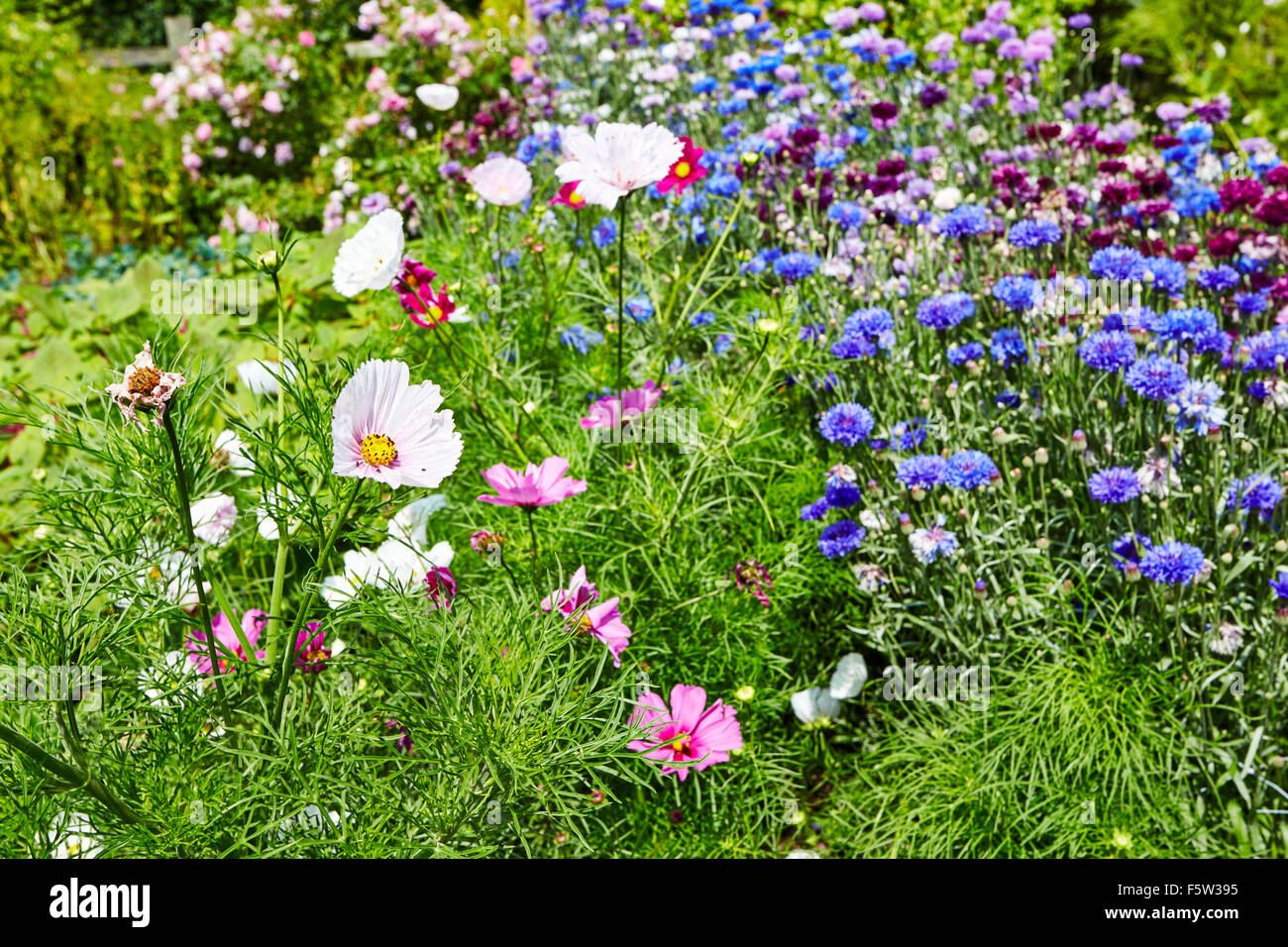 Summer flowers in the gardens of Easton Walled Gardens, Easton ...