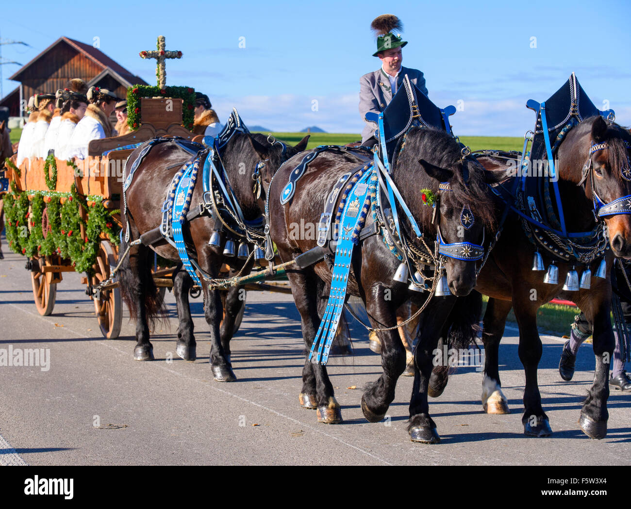 Leonhardi hi-res stock photography and images - Alamy