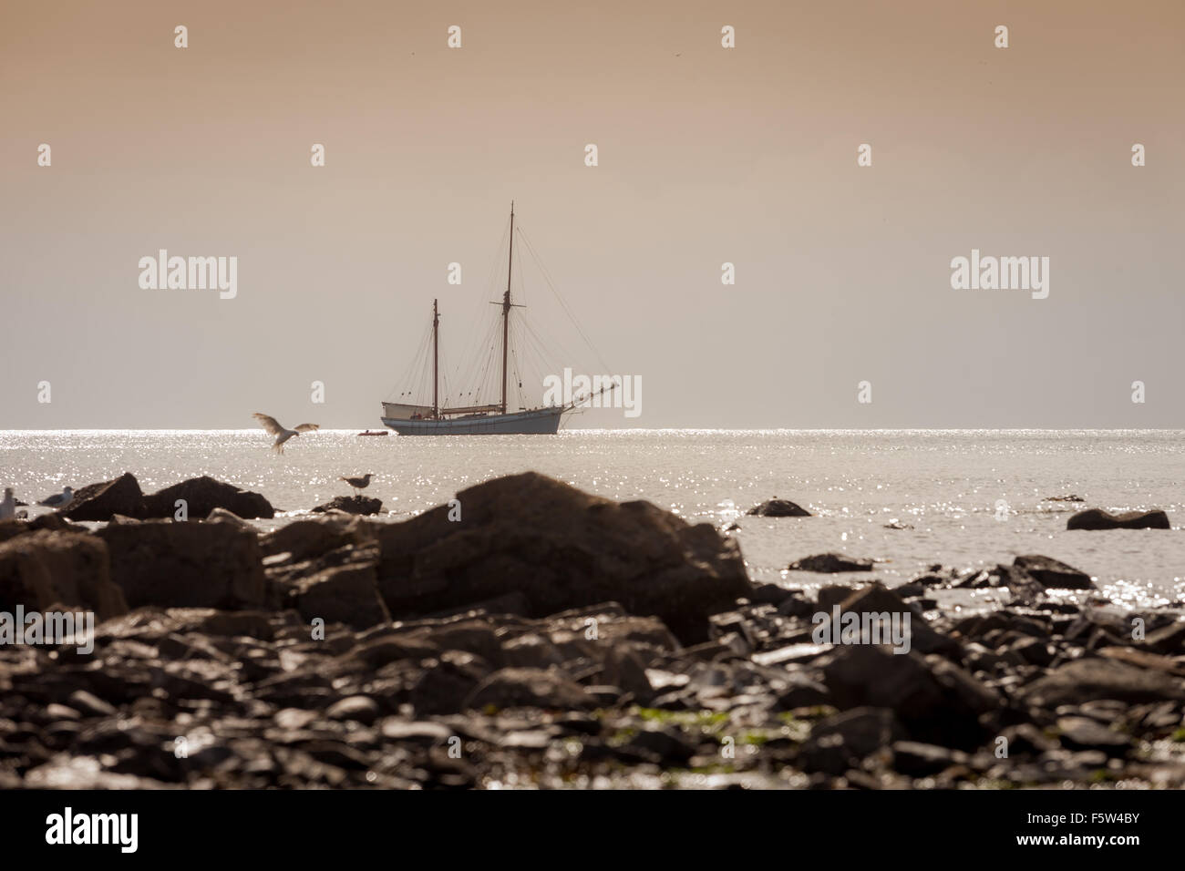Sailing ship at anchor off the coast of Cornwall, UK Stock Photo - Alamy