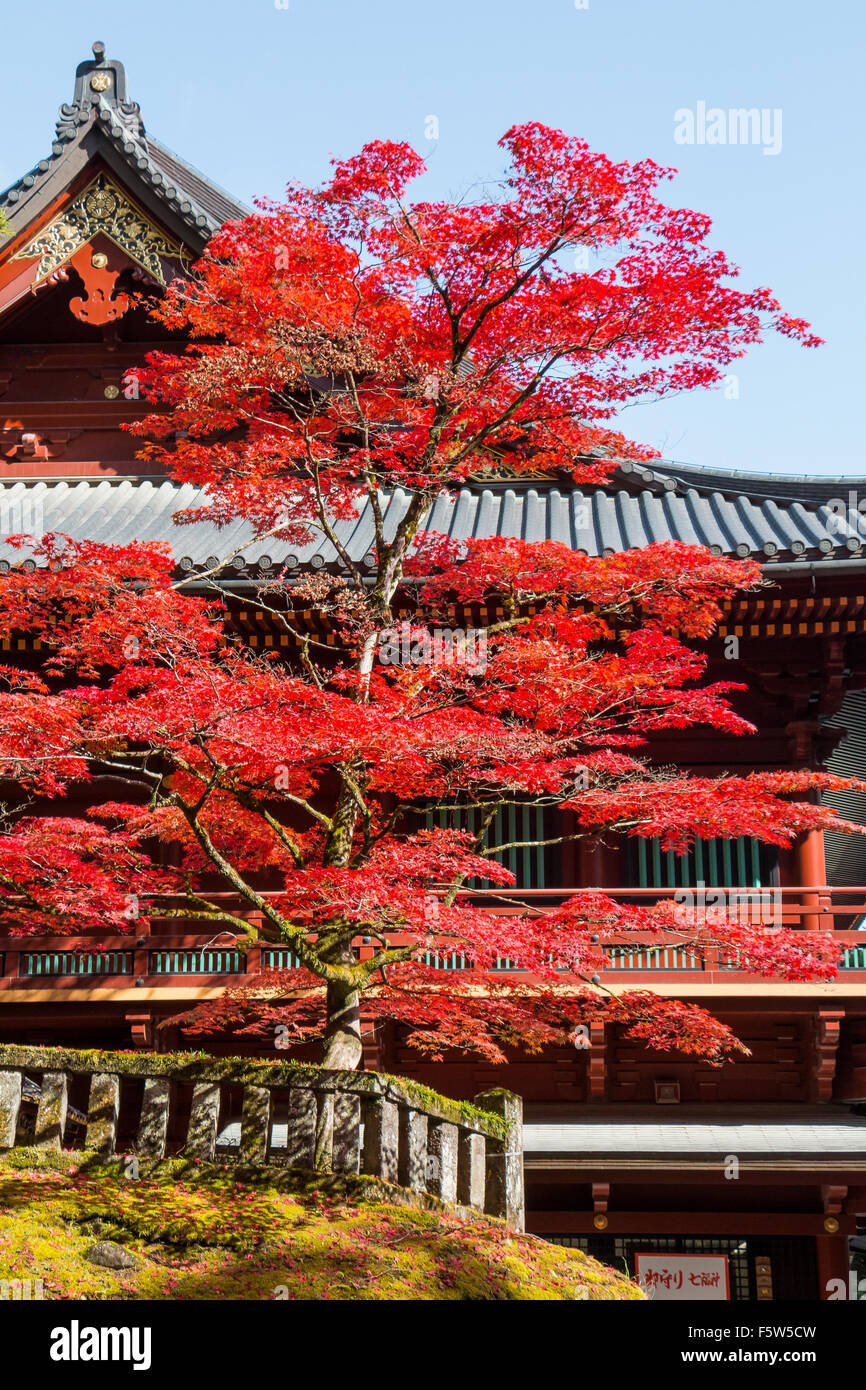 Santuarios nikko hi-res stock photography and images - Alamy