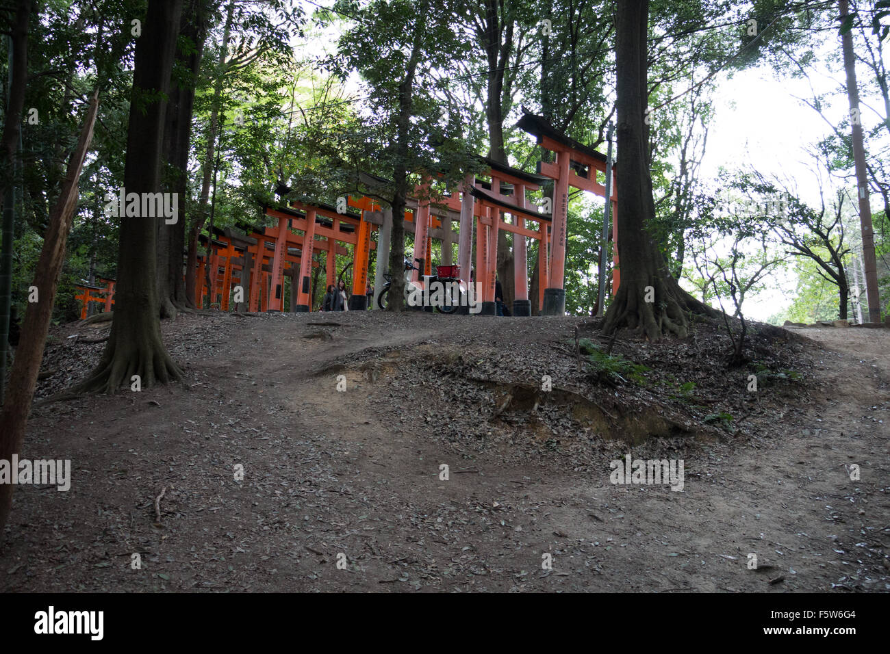 Fushimi Inari Shrine Stock Photo - Alamy