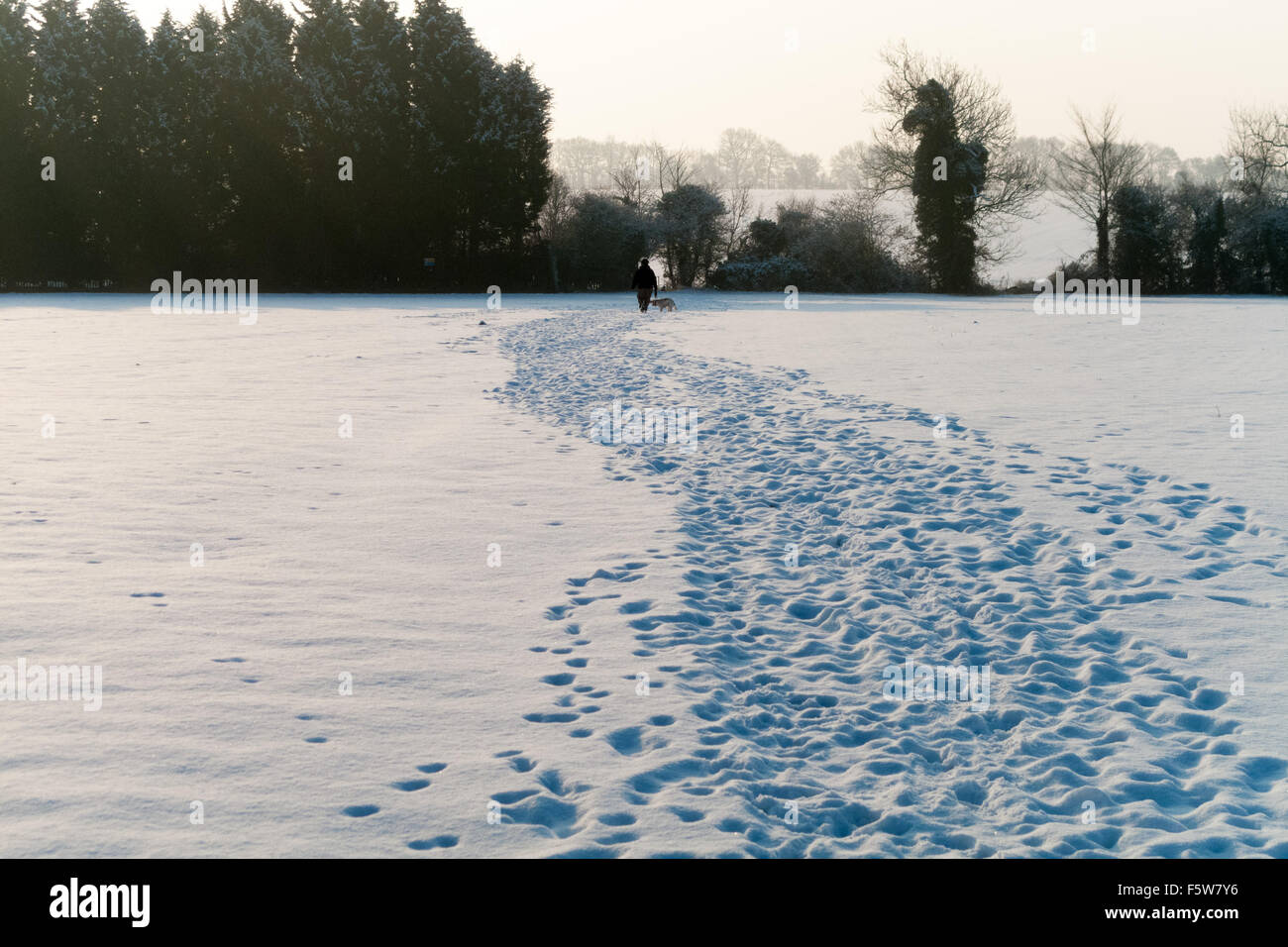 footpath snow tracks on winter morning Stock Photo - Alamy