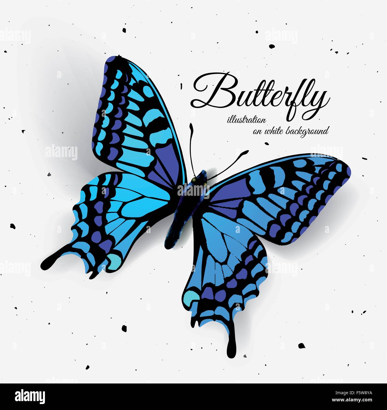 Realistic butterfly hi-res stock photography and images - Alamy