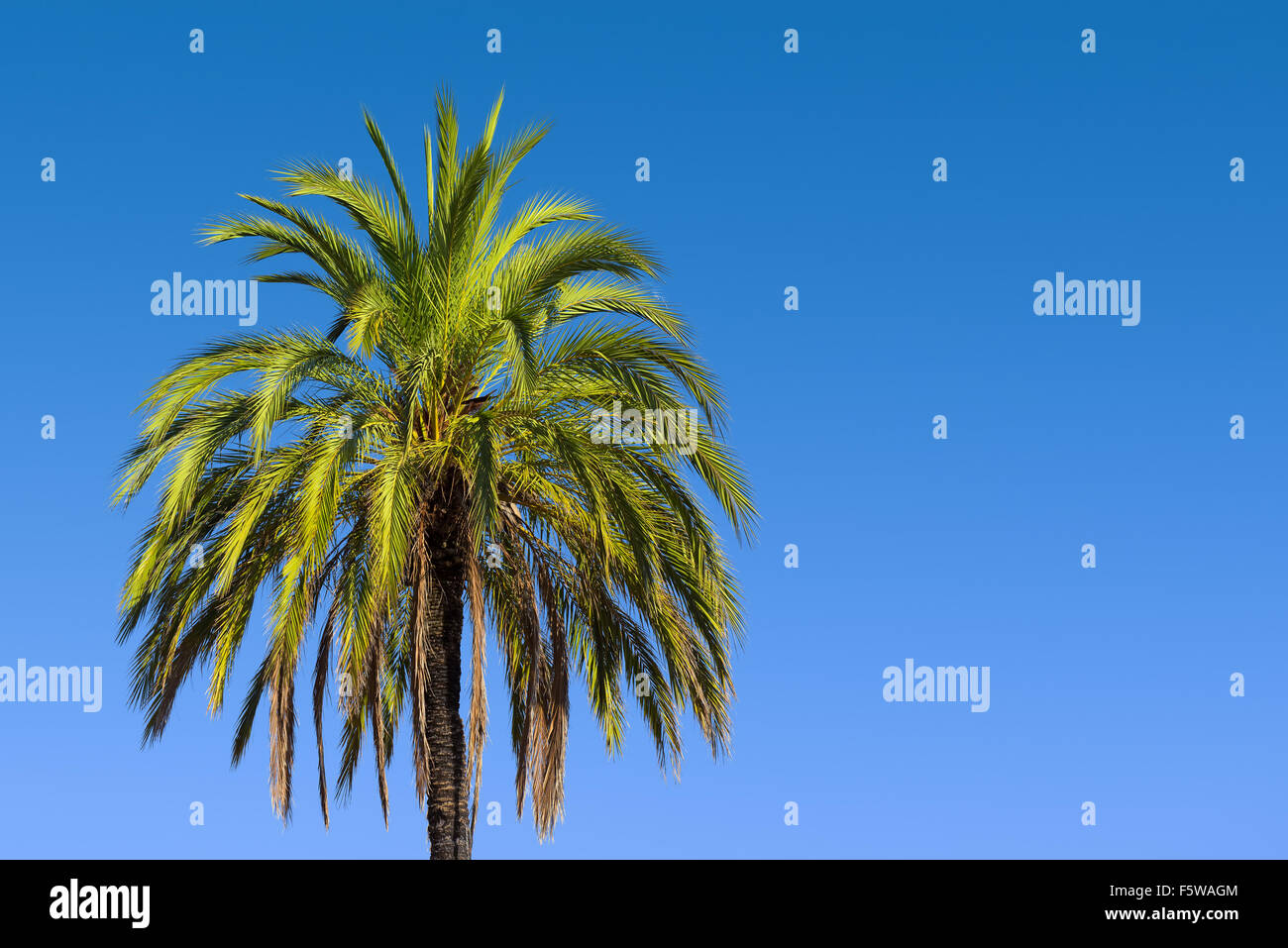 Blue gradient hi-res stock photography and images - Alamy