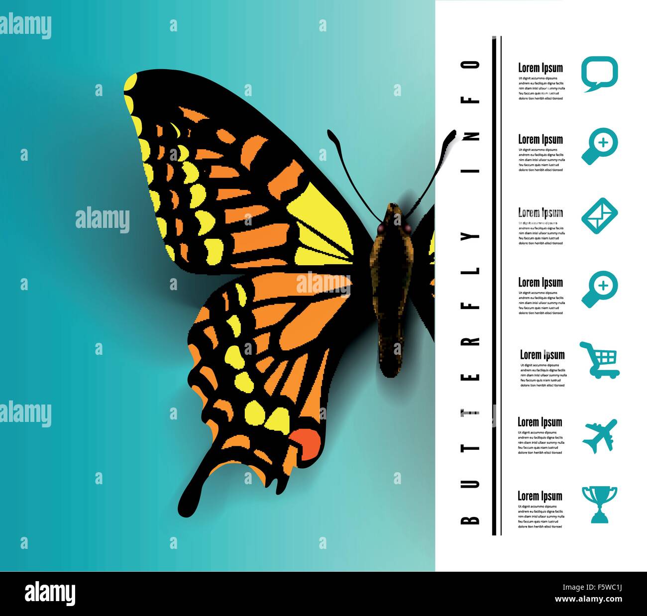 Realistic butterfly hi-res stock photography and images - Alamy