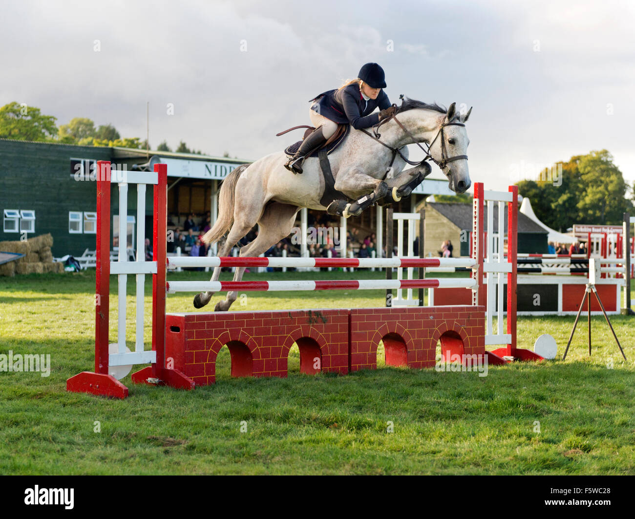 Show horses hi-res stock photography and images - Alamy