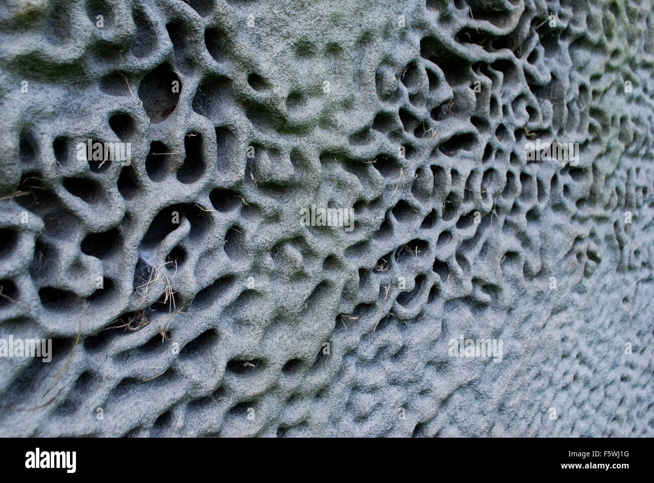 Texture on weathered gravestone Stock Photo - Alamy