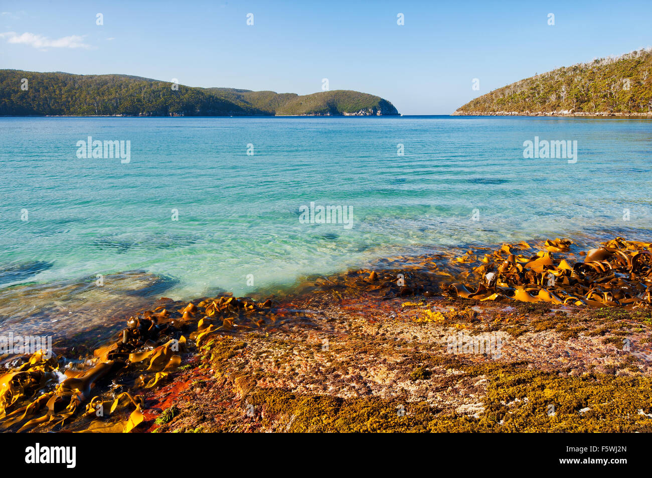 Fortescue Bay in Tasman National Park Stock Photo - Alamy